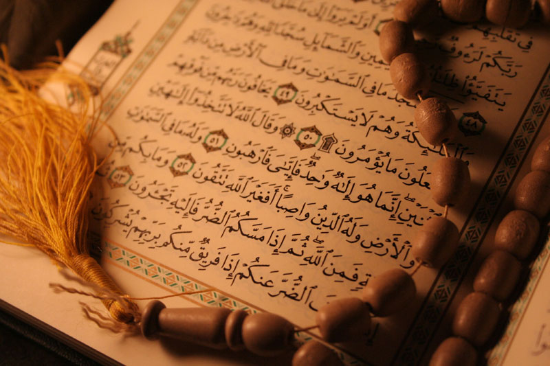 Courses – Talib